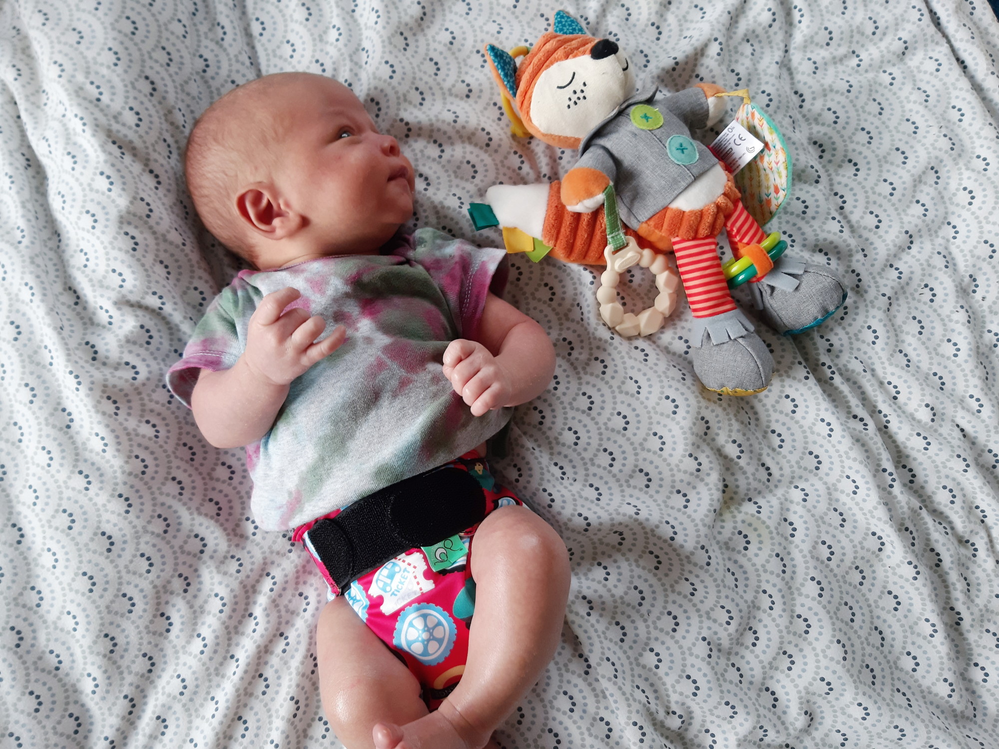 Review || Infantino - Polly Jemima